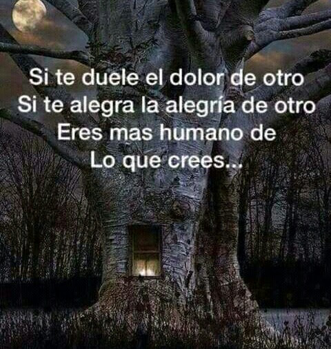 El arte de vivir: "LO QUE DUELE NO ES EL DOLOR"