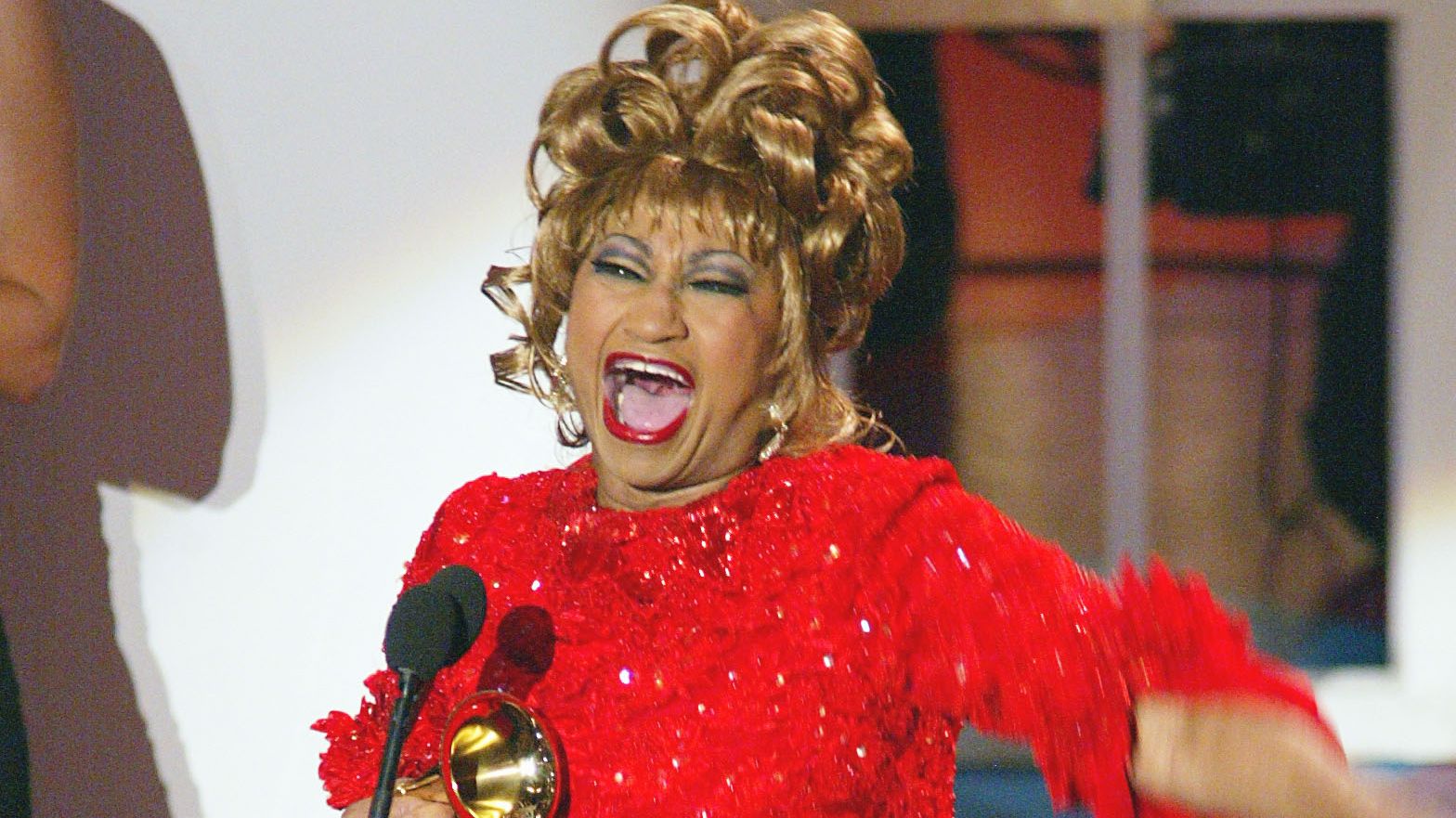 Bienvenidos Al Mundo Hispano: Celia Cruz