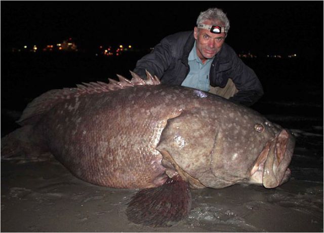 Funny Picture: 10 Most Diabolical & Scariest Fish On Earth at River ...