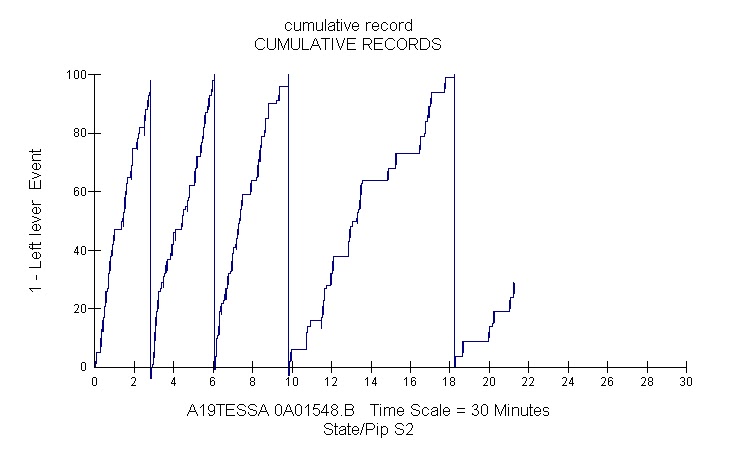 Psychology of Learning: Training Tessa: Sniffy and Tessa: A Comparison ...