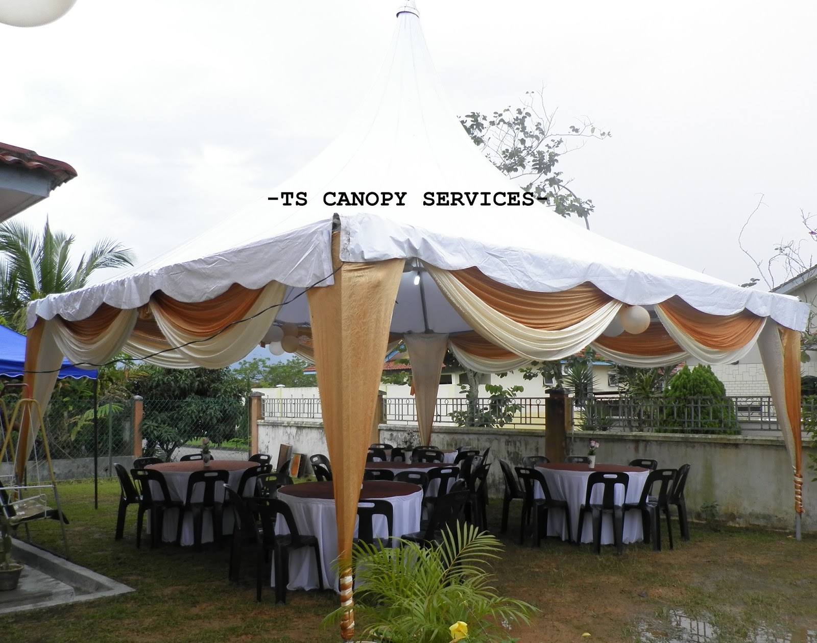 TS Canopy Services: Pilihan Warna Scallop