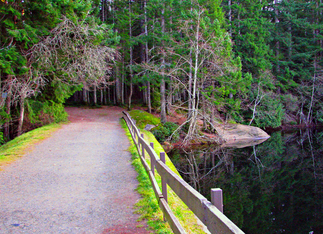 Everything Nanaimo: COLLIERY DAM PARK