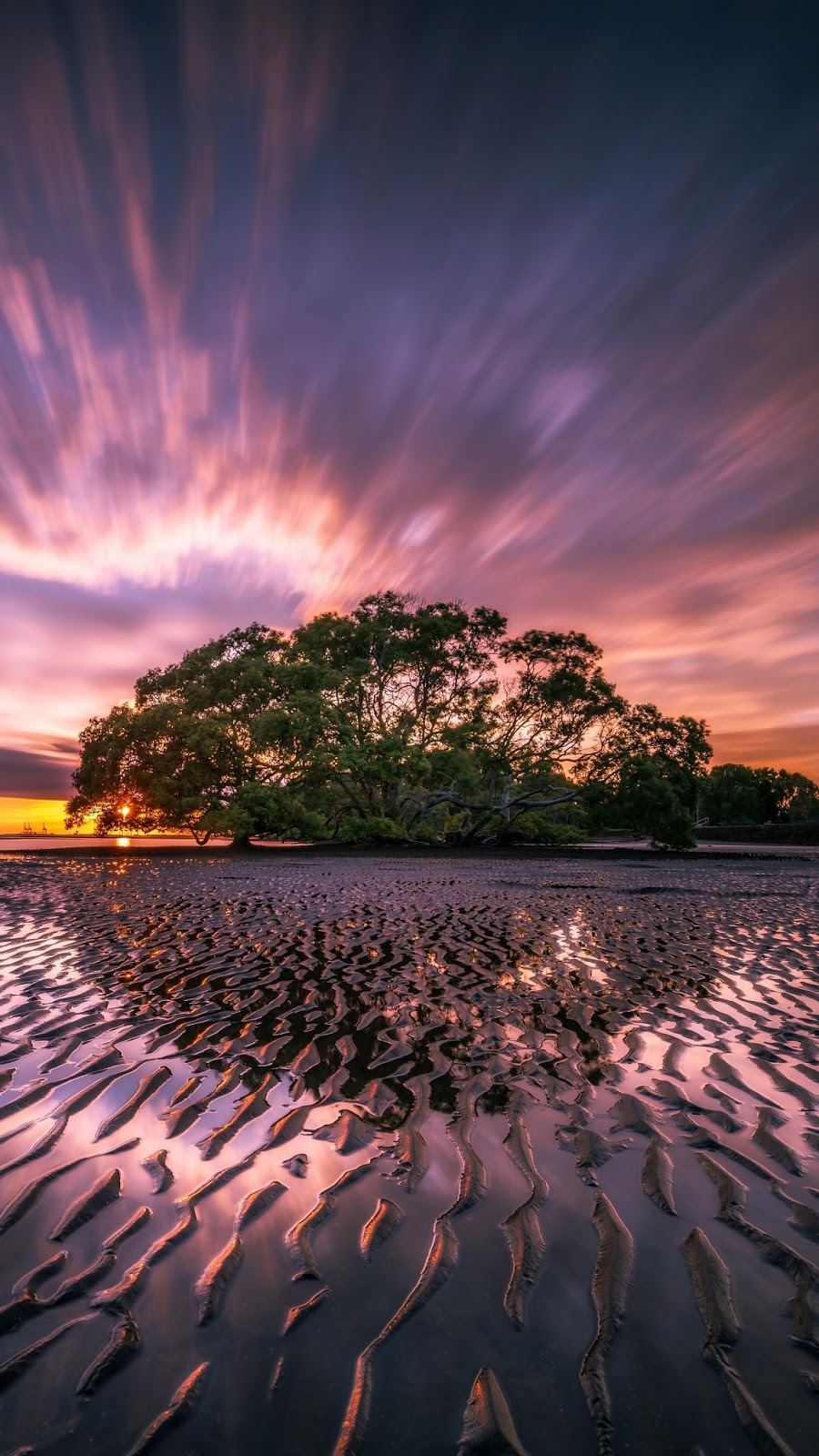 Nature -Sea, Tree : id 46354 - HD Wallpapers