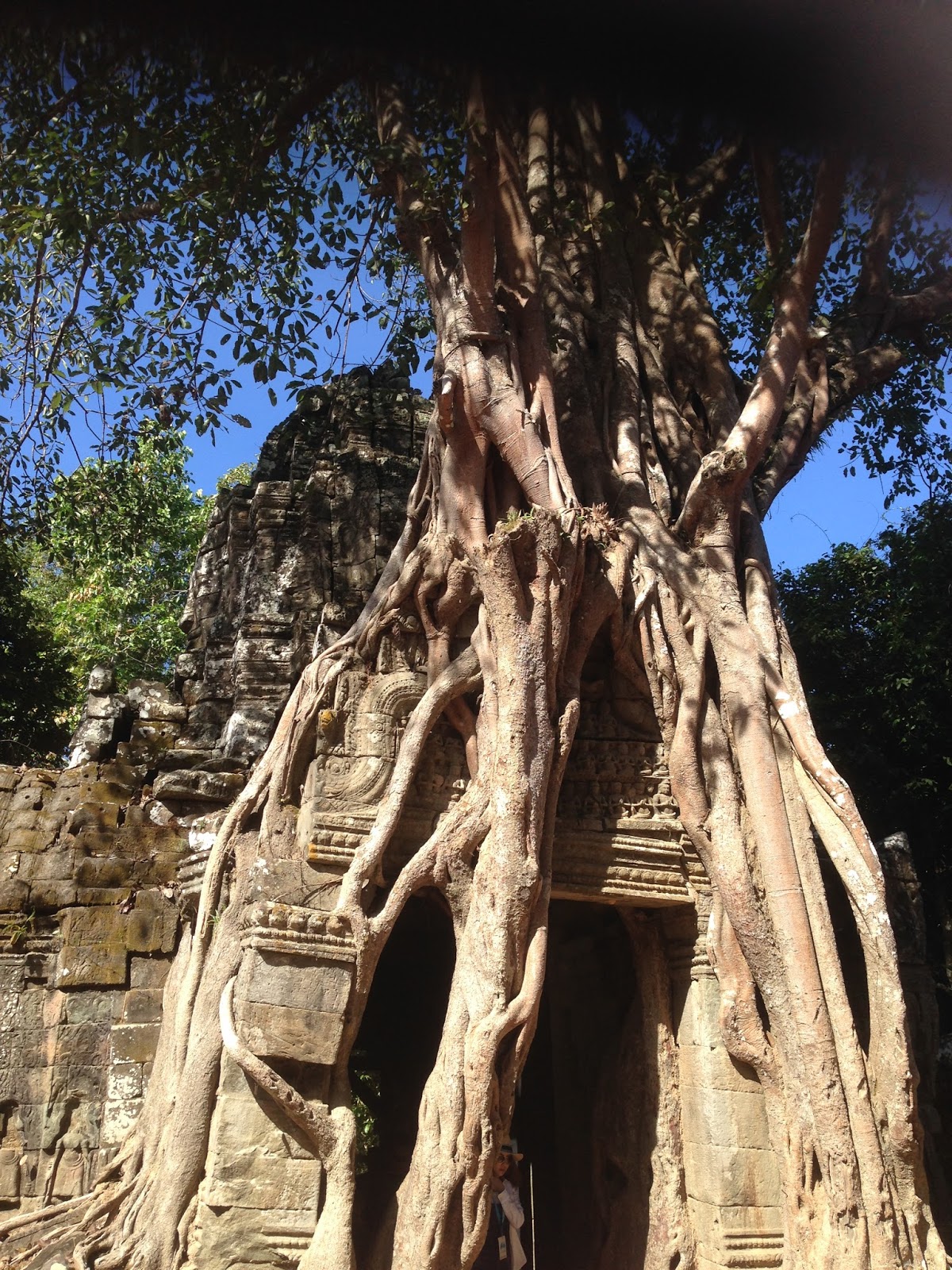 tpaullee: my Angkor Wat trip