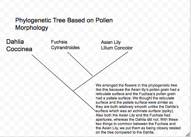 Simple vs. Compound Flowers