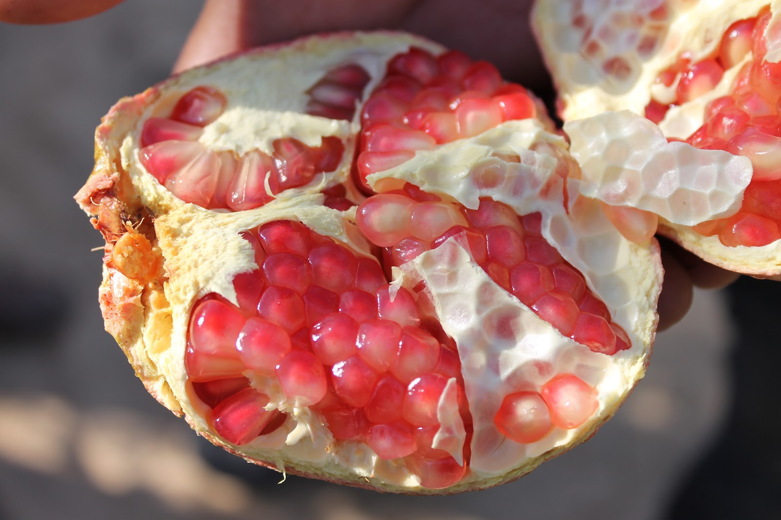 Capitan Frutas: Fruit chronicles (2012)