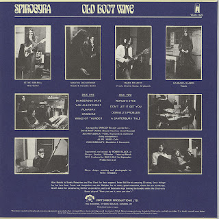 Disco Perdido: Spirogyra