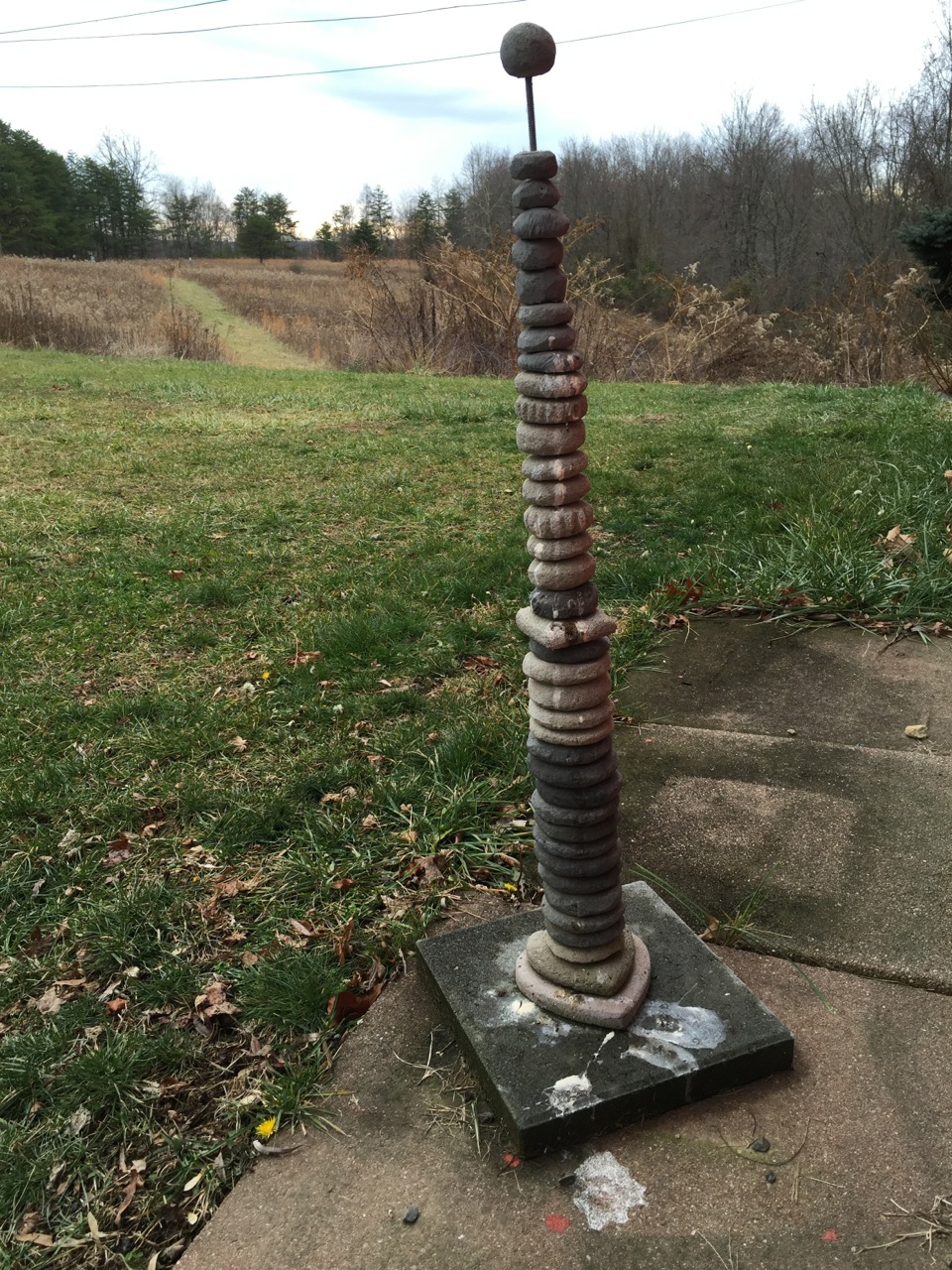 Julie Zickefoose on Blogspot: Who Pooped on the Dingus?