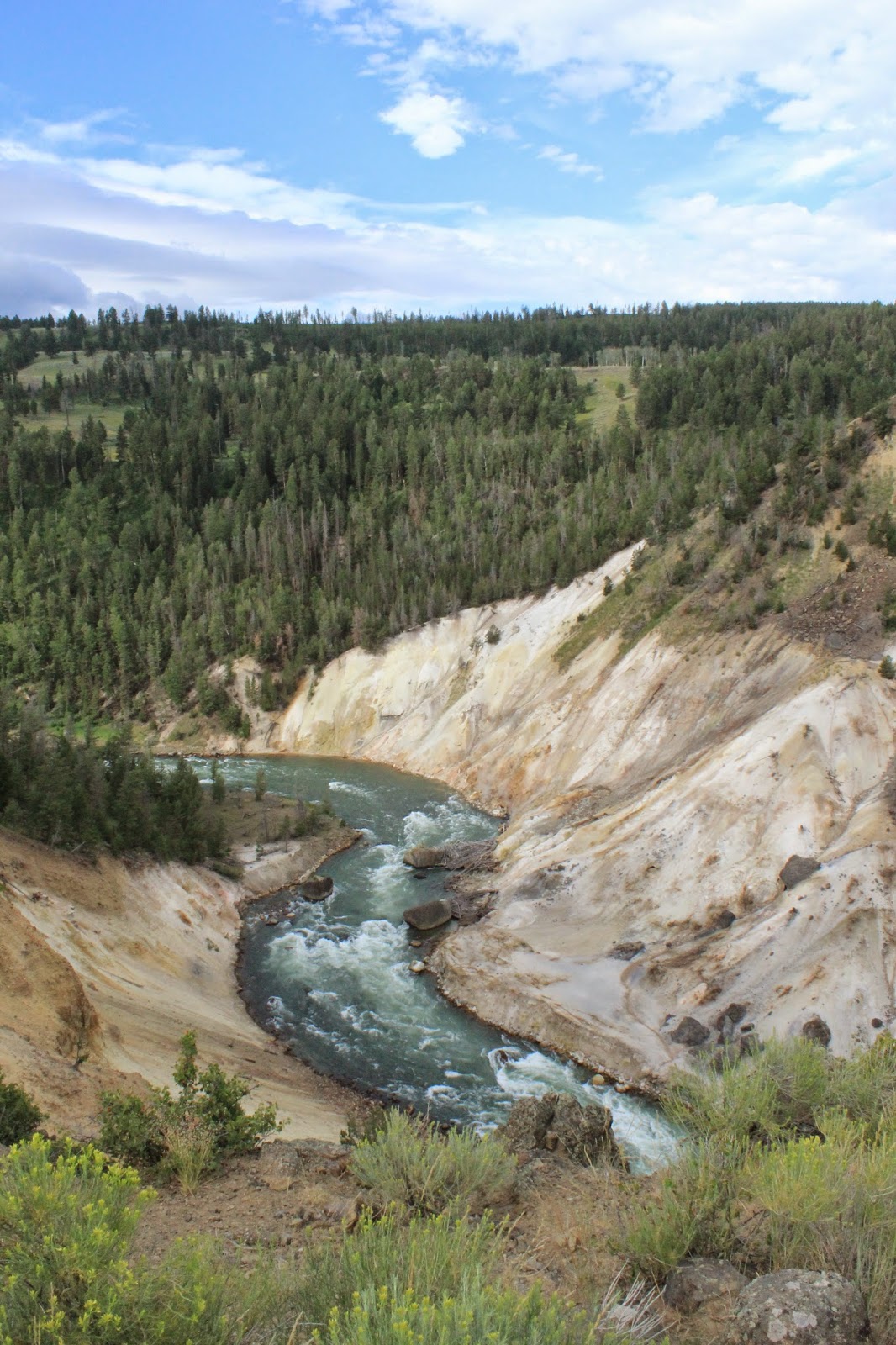 A Yellowstone Summer : Specimen Ridge