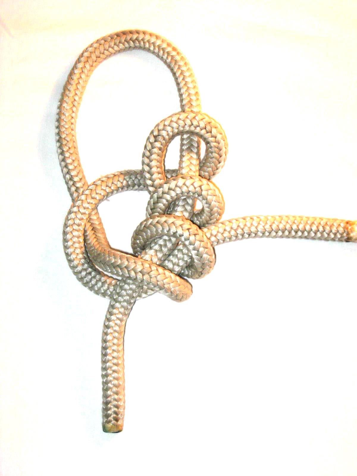 New Approaches with Knot Tying: How to Electronically Draw a Knot