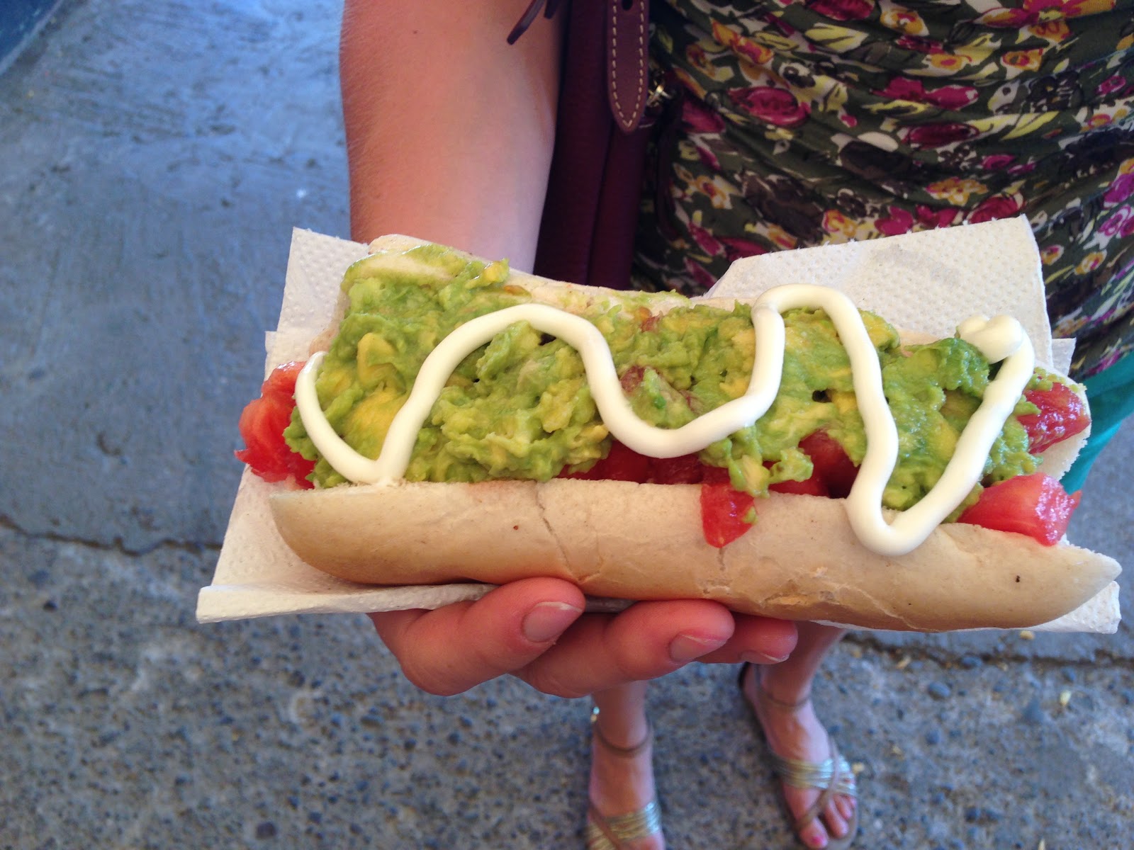 Venture on the Open Road: Best of Chile: Completos and PDA