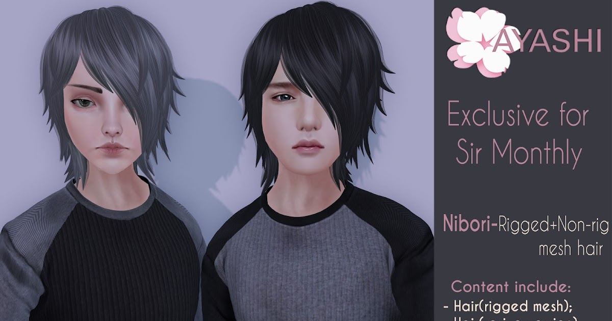 ^.^Ayashi^.^: [^.^Ayashi^.^] Nibori hair special for Sir Monthly