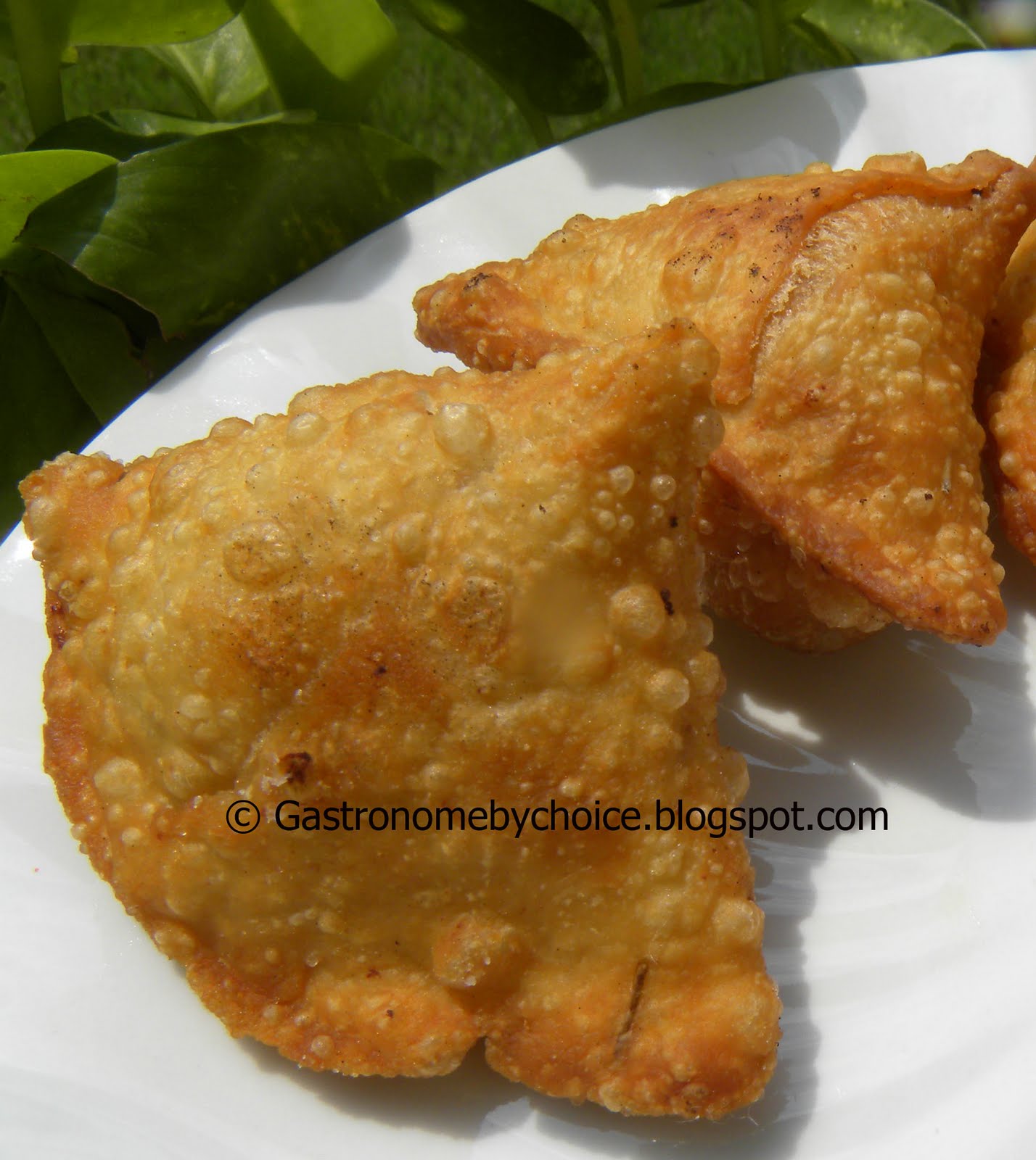 Cocktail Samosas with a twist ~ Gastronome By Choice