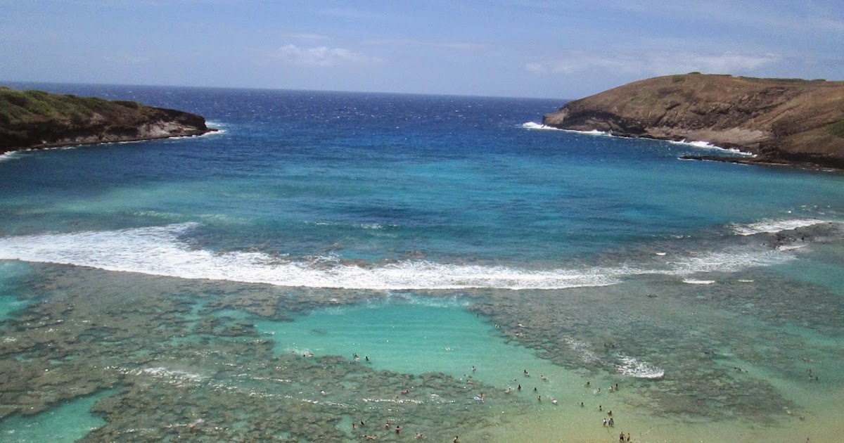 Family Travel Blog : Hawaii Daily Photo: Hanauma Bay, Oahu