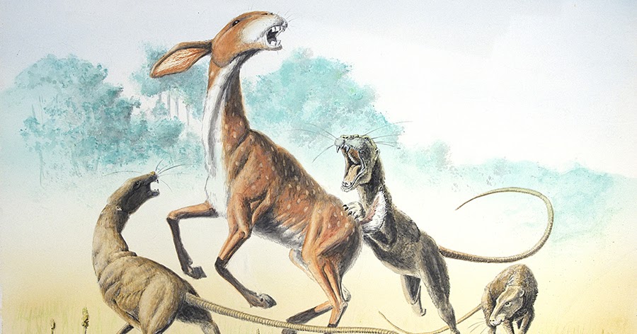 Furahan Biology and Allied Matters: 'After Man', by Dougal Dixon; a ...