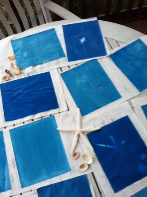 BeSoStyle: diy: sun prints