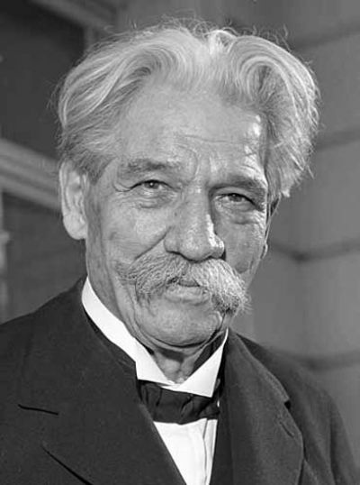 Golden Light: Albert Schweitzer's Prayer for Animals