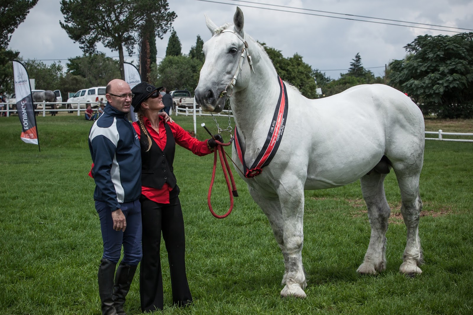 Summerwind Percheron: Summerwind At Horse of The Year 2017 ~ National ...