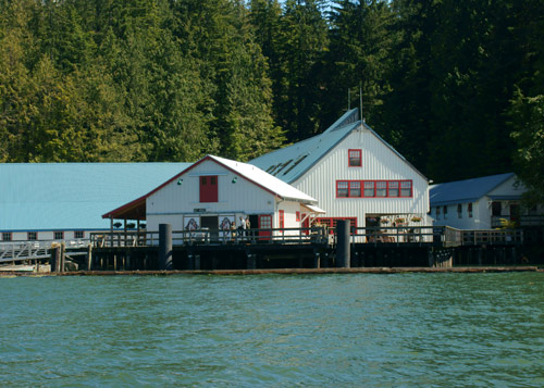 Phil Rowley Fly Fishing: Stepping out of the Box.