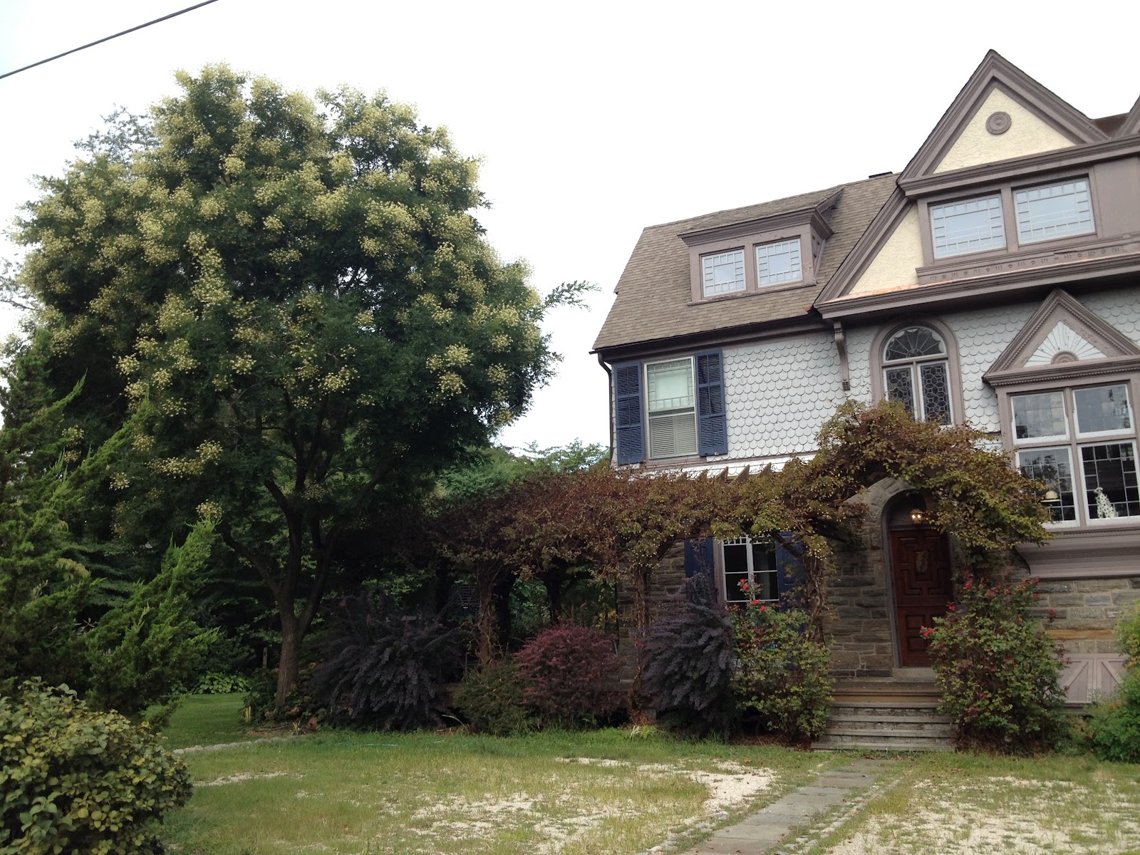 PHILLY TREES: BLUE MOON TREE HUNTS