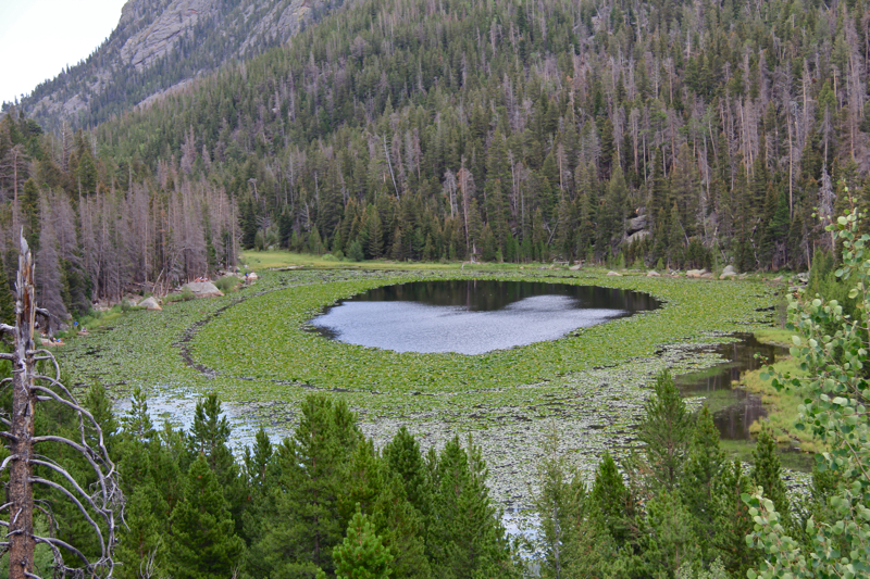 Colorado Lifestyle: Cub Lake