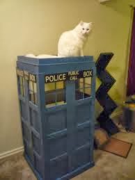 Choco Toujours: Tardis and Bowtie Cats