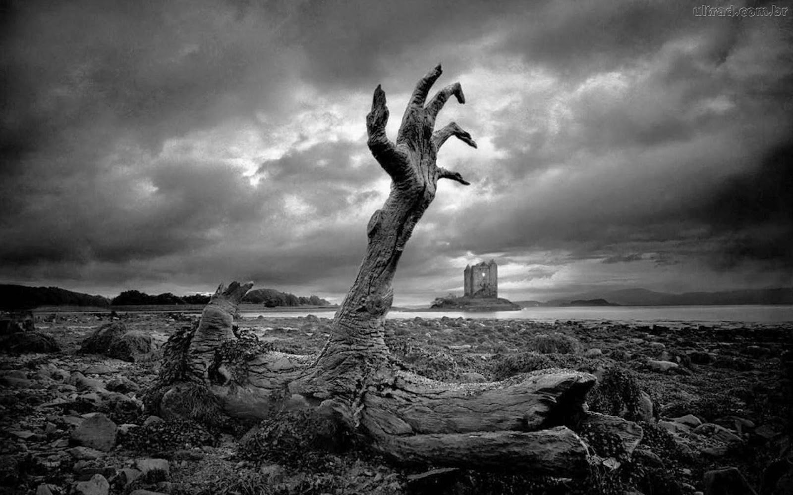 Coleciona Filmes: Os 10 melhores filmes de terror para assistir