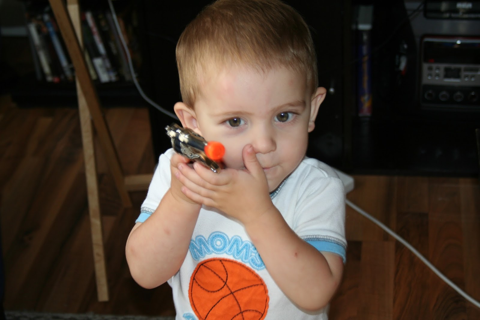 Limatunes' Range Diary: Kids, Guns and Schools