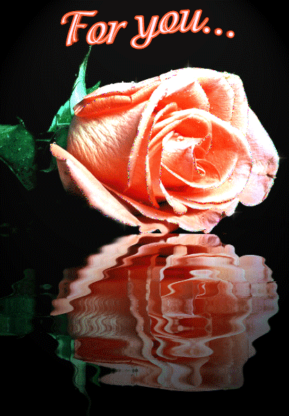 Gif_ROSES_ Animated Images_1_(20 item) | Joy Design Studio