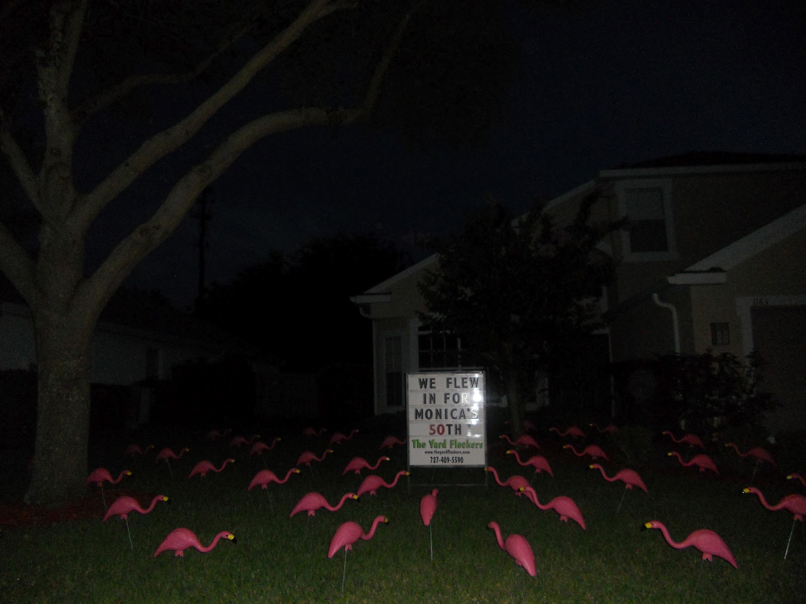 *THE YARD FLOCKERS* Pinellas County, Fla 727-409-5590 WWW ...
