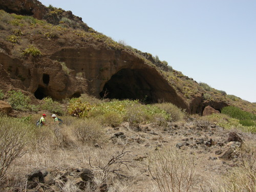 Mi Gran Canaria: SILVA, BARRANCO DE (TELDE)
