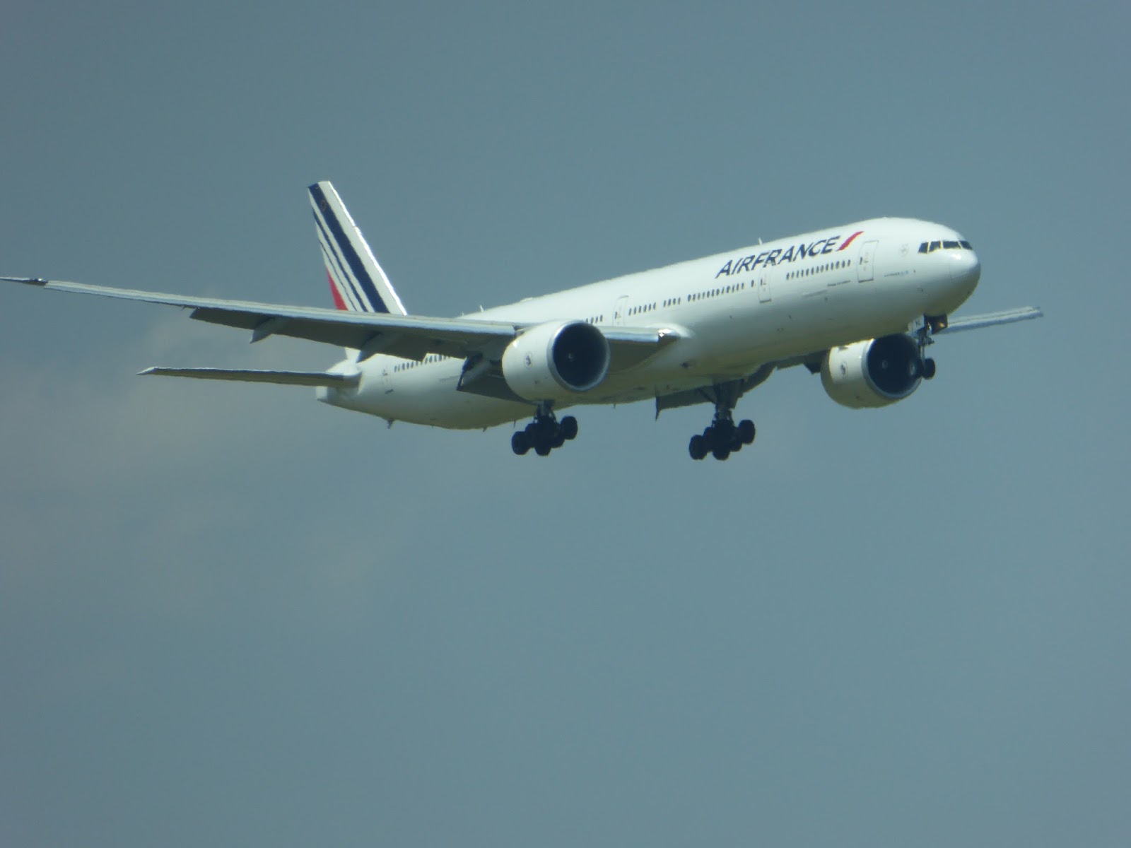 Flight To Success: Pilot Challenges...