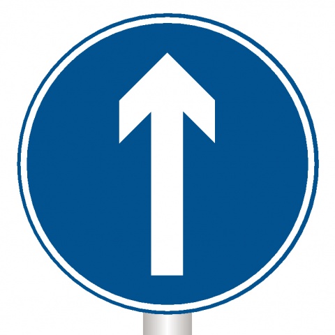 English for you: Inglés Básico