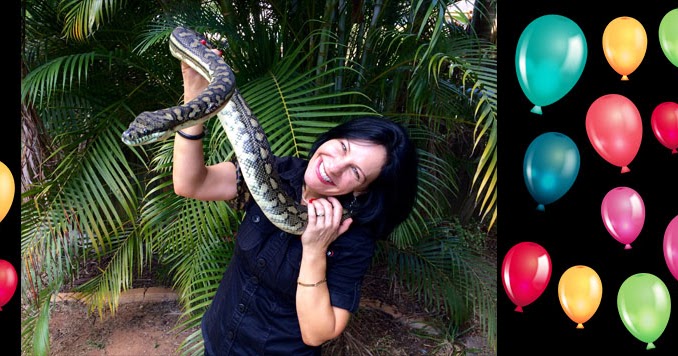 Brisbane Snake Catchers : Brisbane Snake Catchers