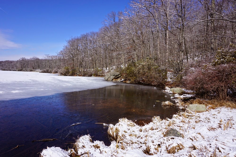 Harriman Hiker: Harriman State Park and Beyond: Pine Swamp Brook and ...