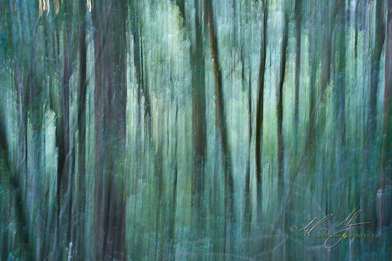 Photo Writing - Exploring Photography.: The Power Of Line In Composition