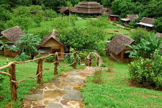 Assam - Famous For Tea and Dense Forest