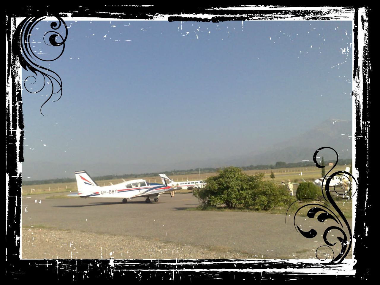 Spreebird: Parachinar