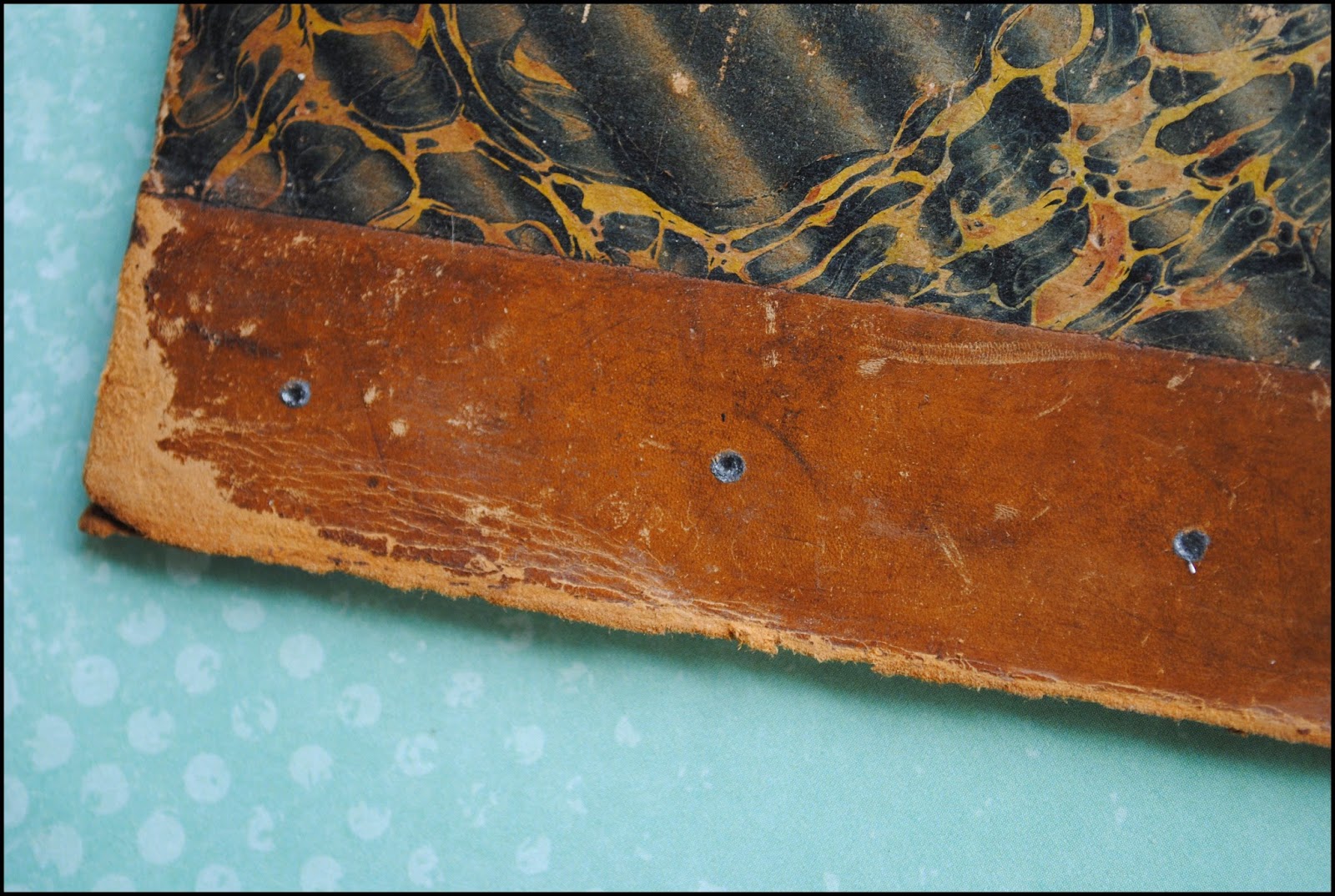 The Altered Page: Monarch Book Cover