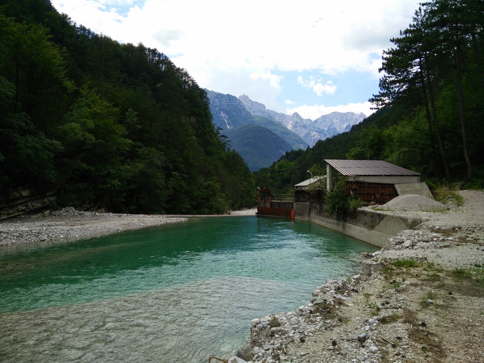 Dinosauro Antonio: IMPRONTE E NIDI DI RETTILI ARCOSAURI IN VAL DOGNA ...