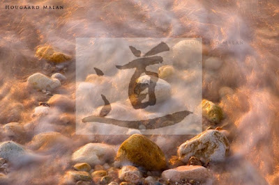 Global Dynamics Processes: the Pattern which Connects from KaliYuga to ...