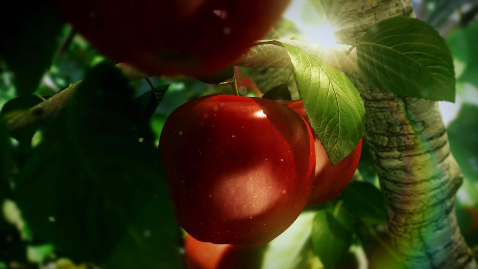 Binara Abayawardana: TVC Stills