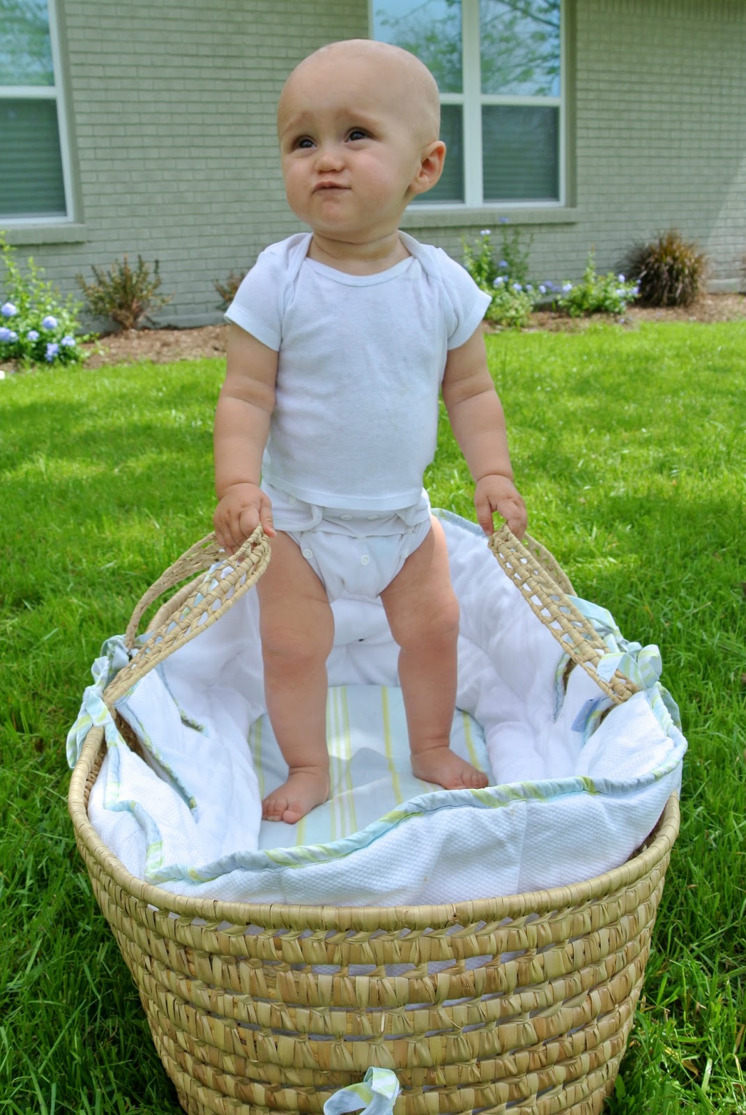 The Murrayed Life A Letter To A Newborn Mother i e Myself In A the-murrayed-life-a-letter-to-a-newborn-mother-i-e-myself-in-a