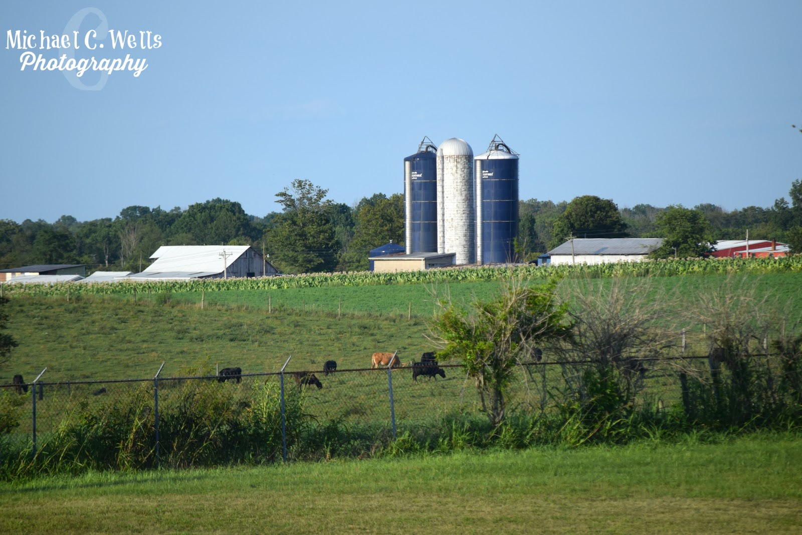 Sunset in Henry County, Kentucky