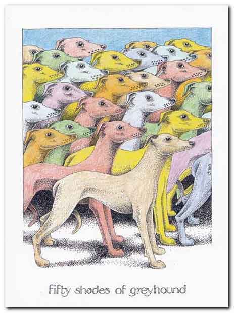 Cool Cards: NEW: Simon Drew Cards