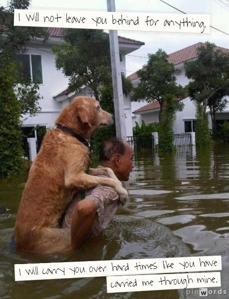 Viral Cool And Funny Pics About The Recent Floods In the Philippines ...