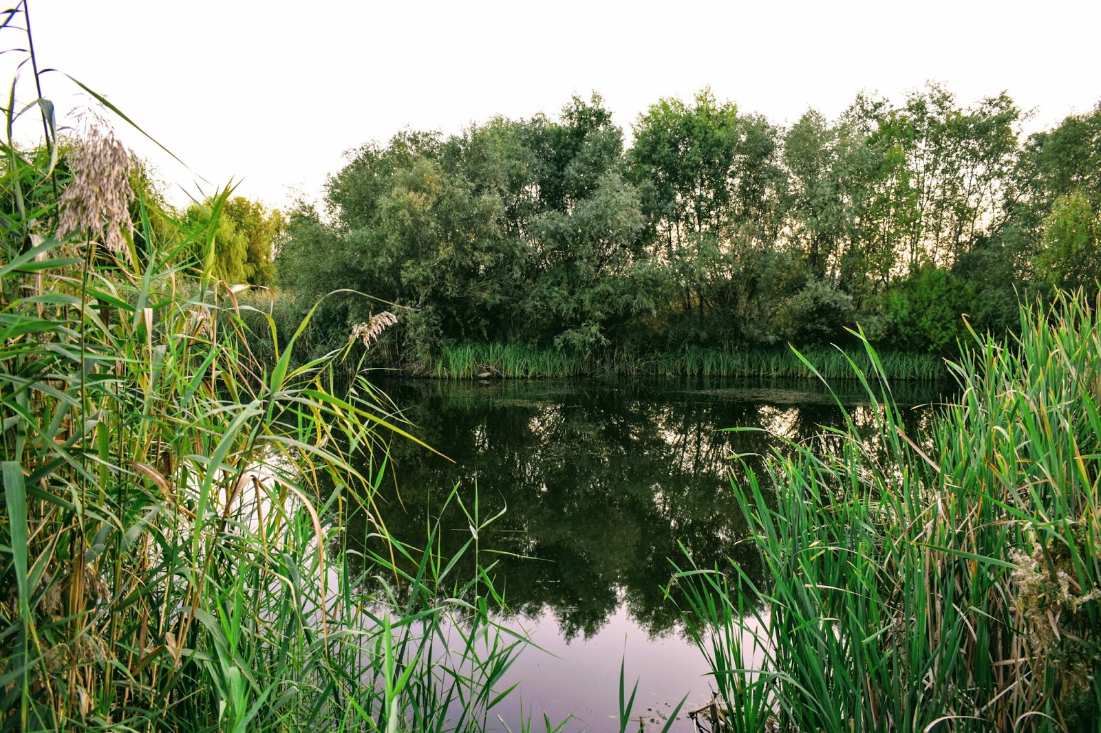 AFK - Blog de weekend: Parcul Natural Vacaresti