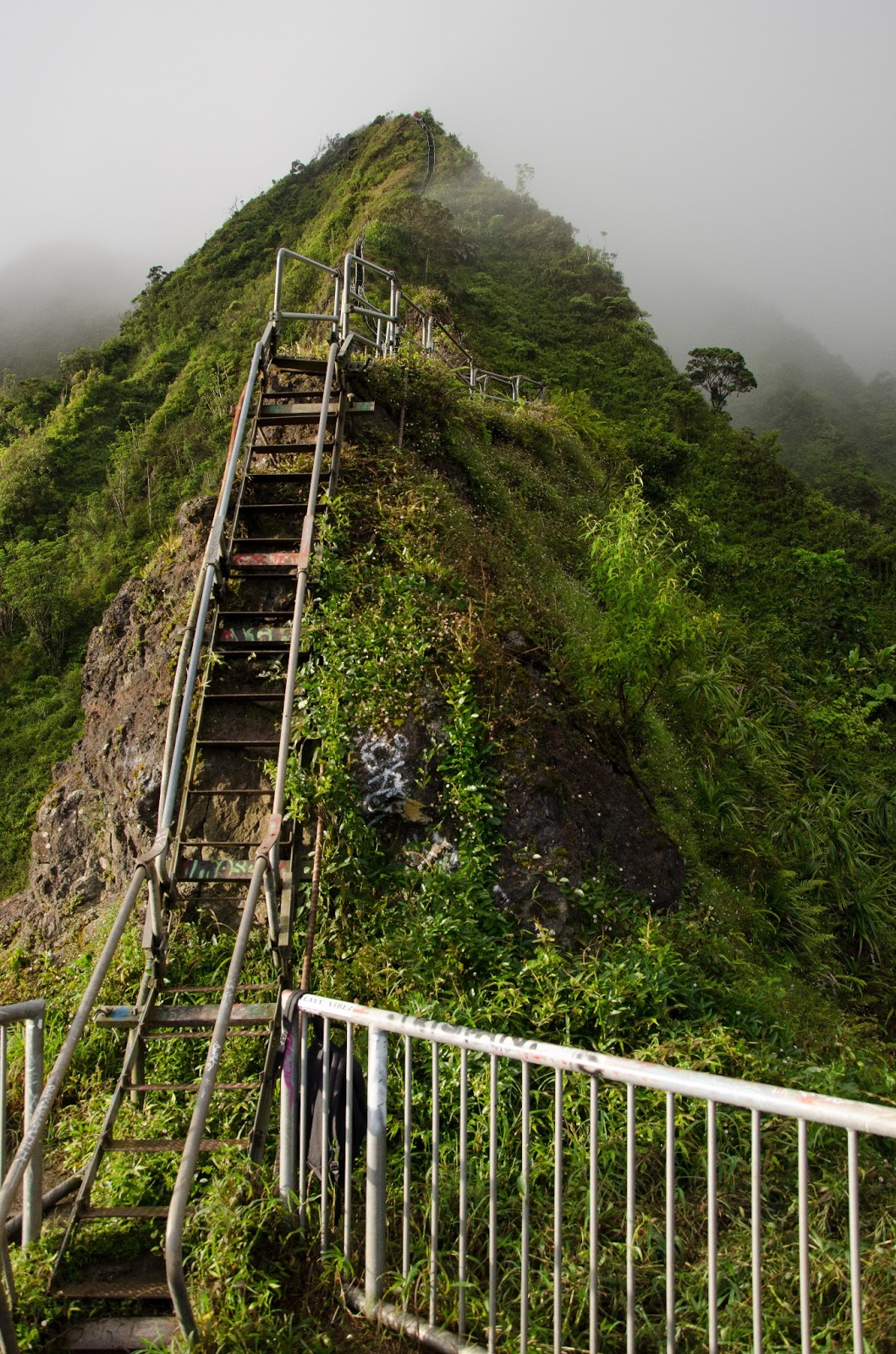 Haole Hiking: Haiku Stairs: The Forbidden Fruit