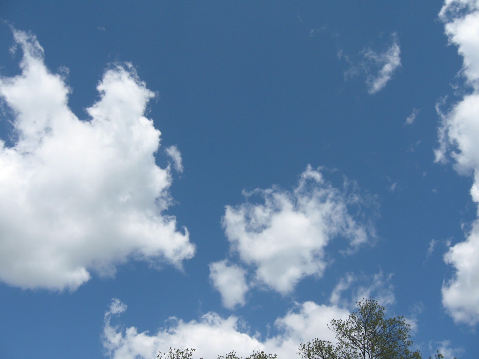 Mrs. Cowen's First Grade: Clouds!