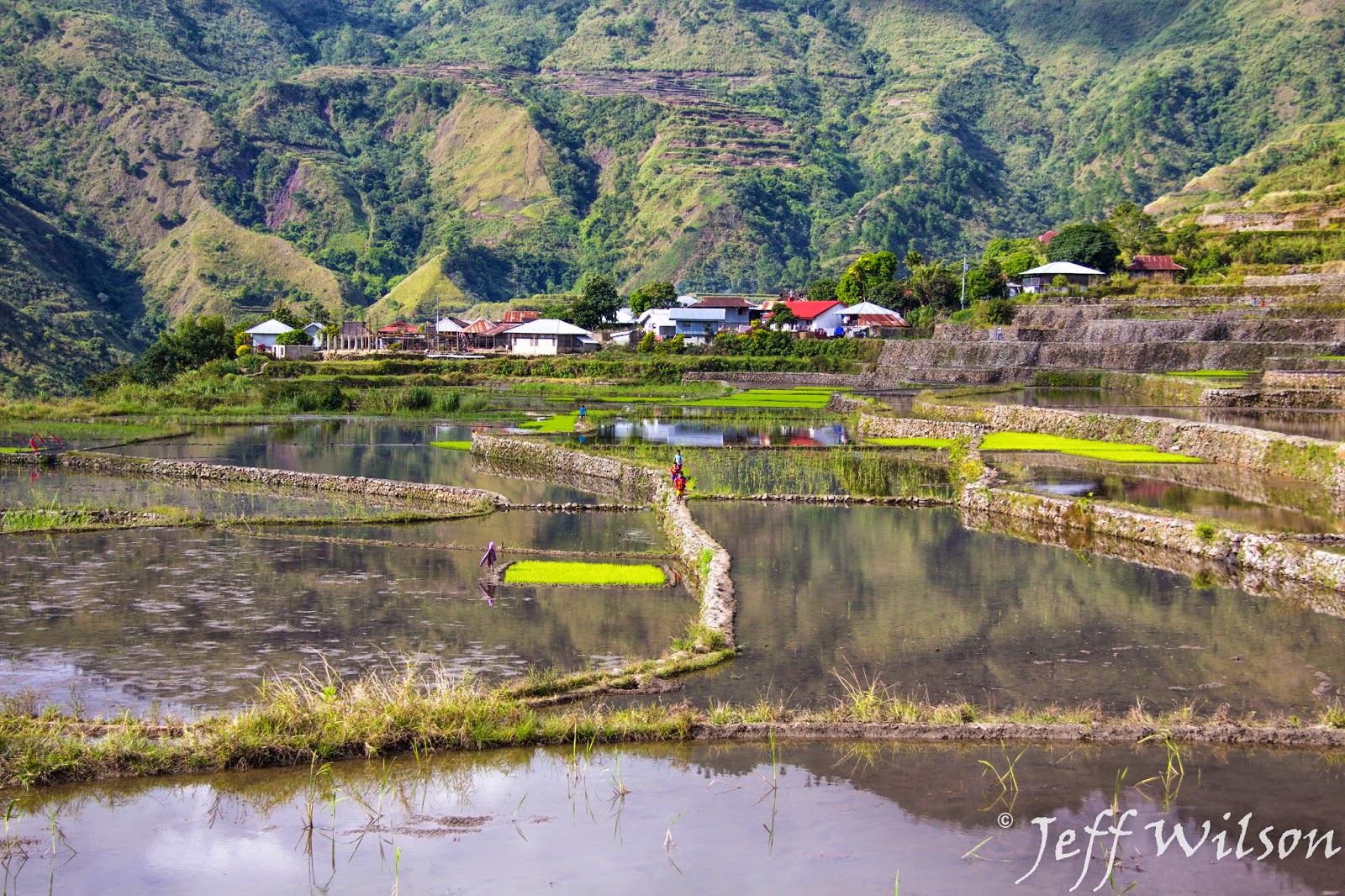 ...and we're gone: Buscalan, Whang-Od, Kalinga, Butbut Tribe